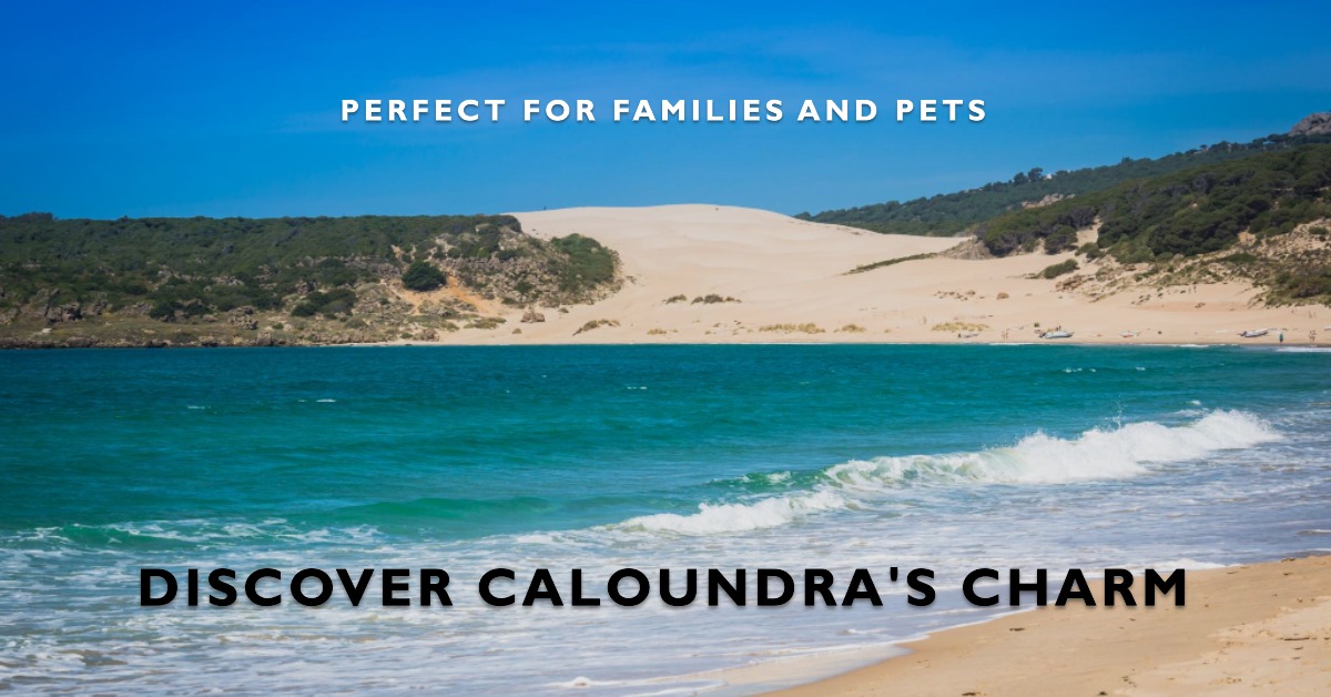 Experience the Best of Caloundra with Pet-Friendly and Family-Oriented ...